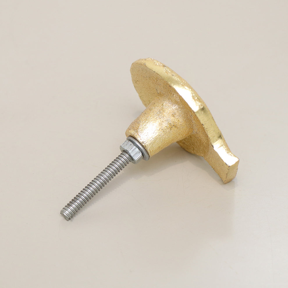 Gold Scallop Sea Shell Drawer Knob – Windsor Browne